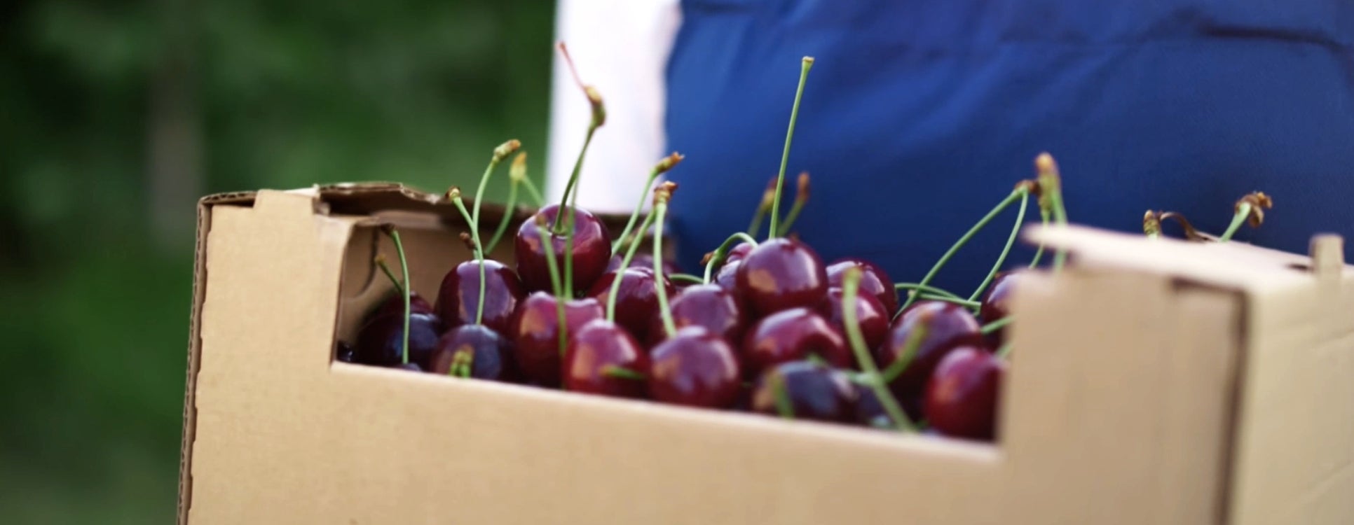 Resources | Digimarc